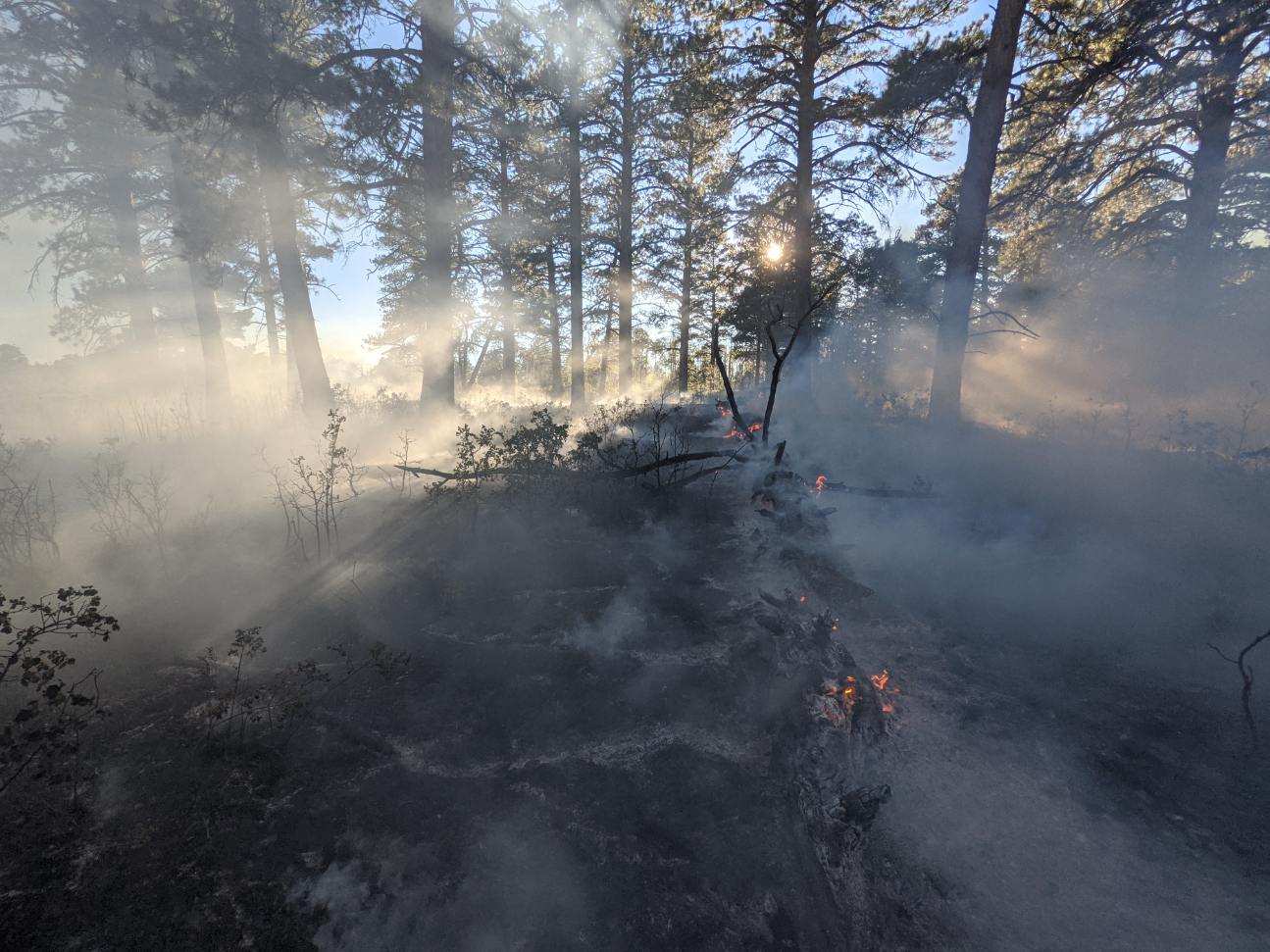 Smoke - West Slope Fire Info
